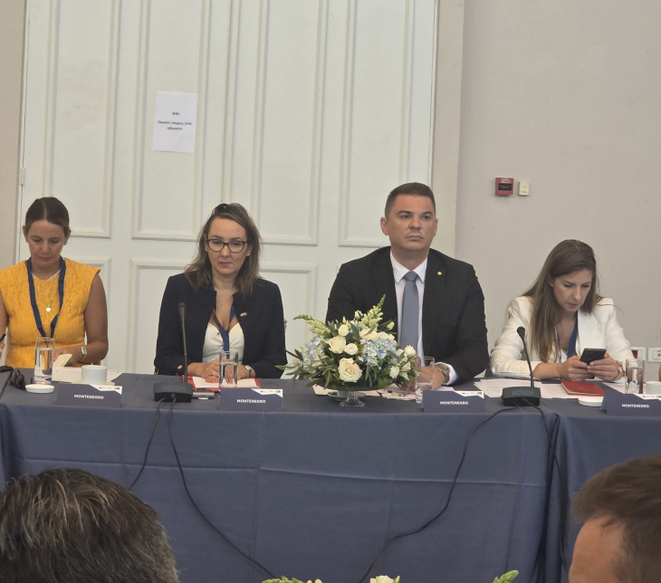 Sahmanovic: Energy Community is a strategic partner in the energy ...